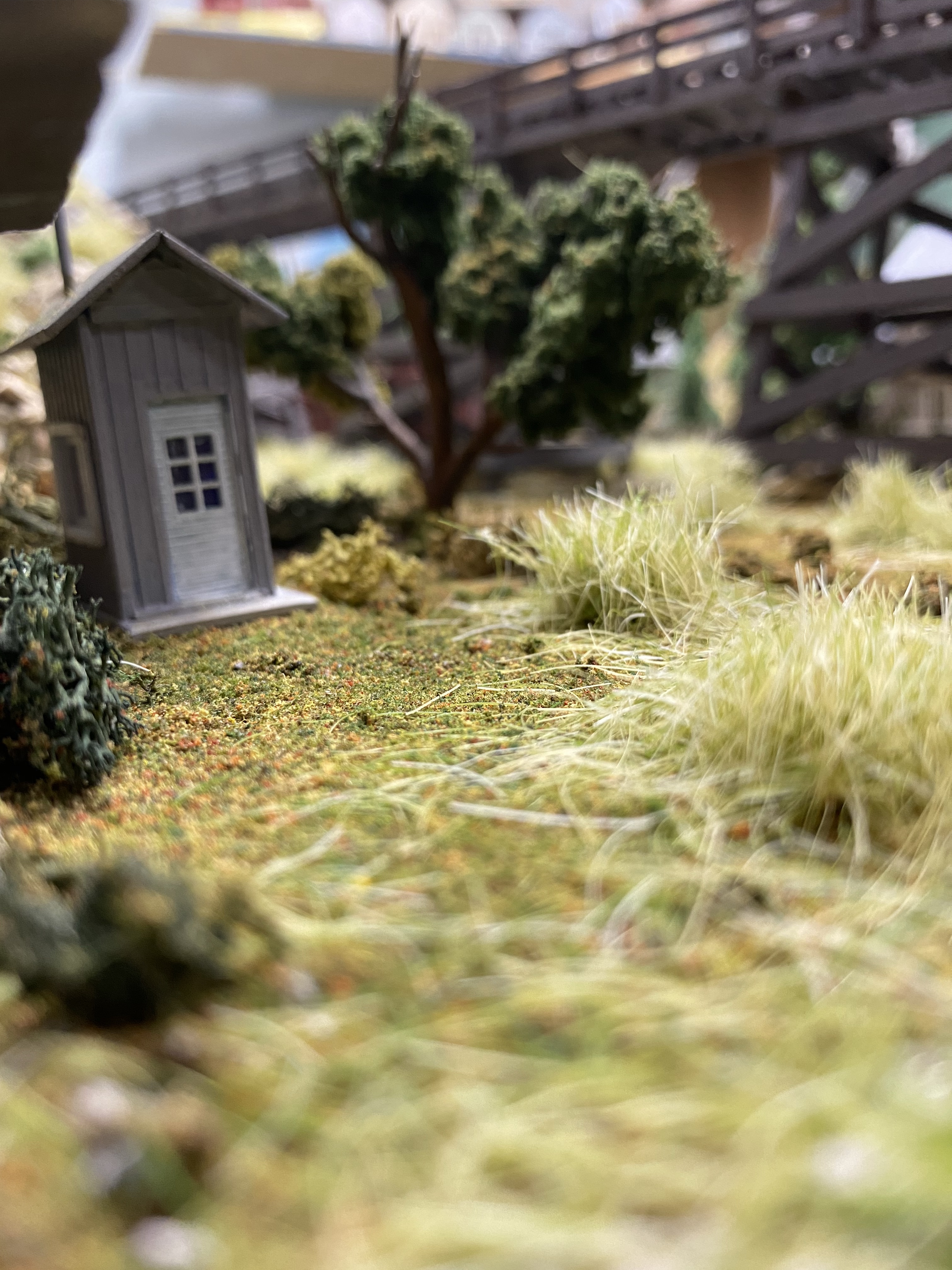 Hidden Scenes on the Maple Valley Railroad – A Coffee State of Mind