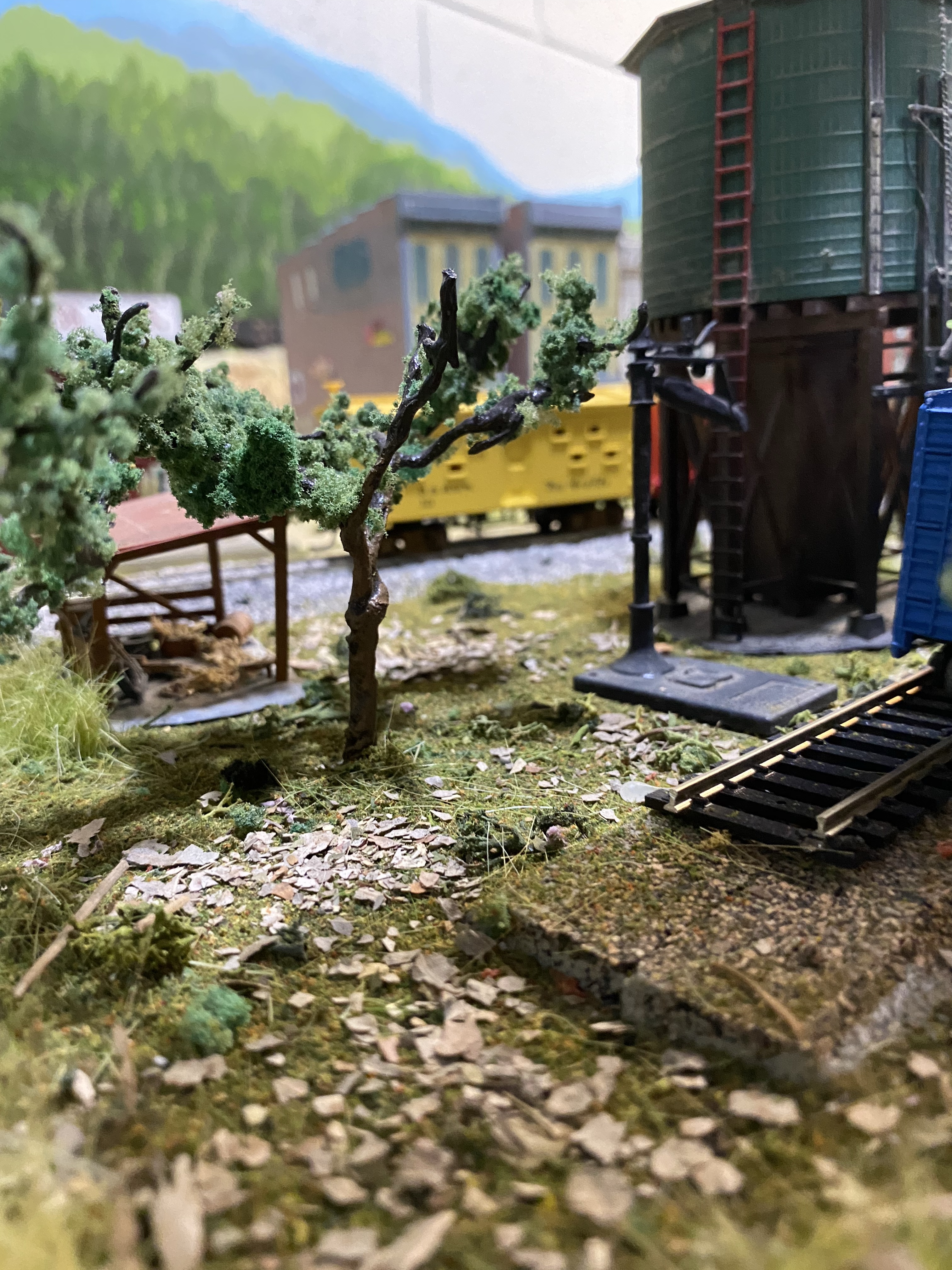 Hidden Scenes on the Maple Valley Railroad – A Coffee State of Mind